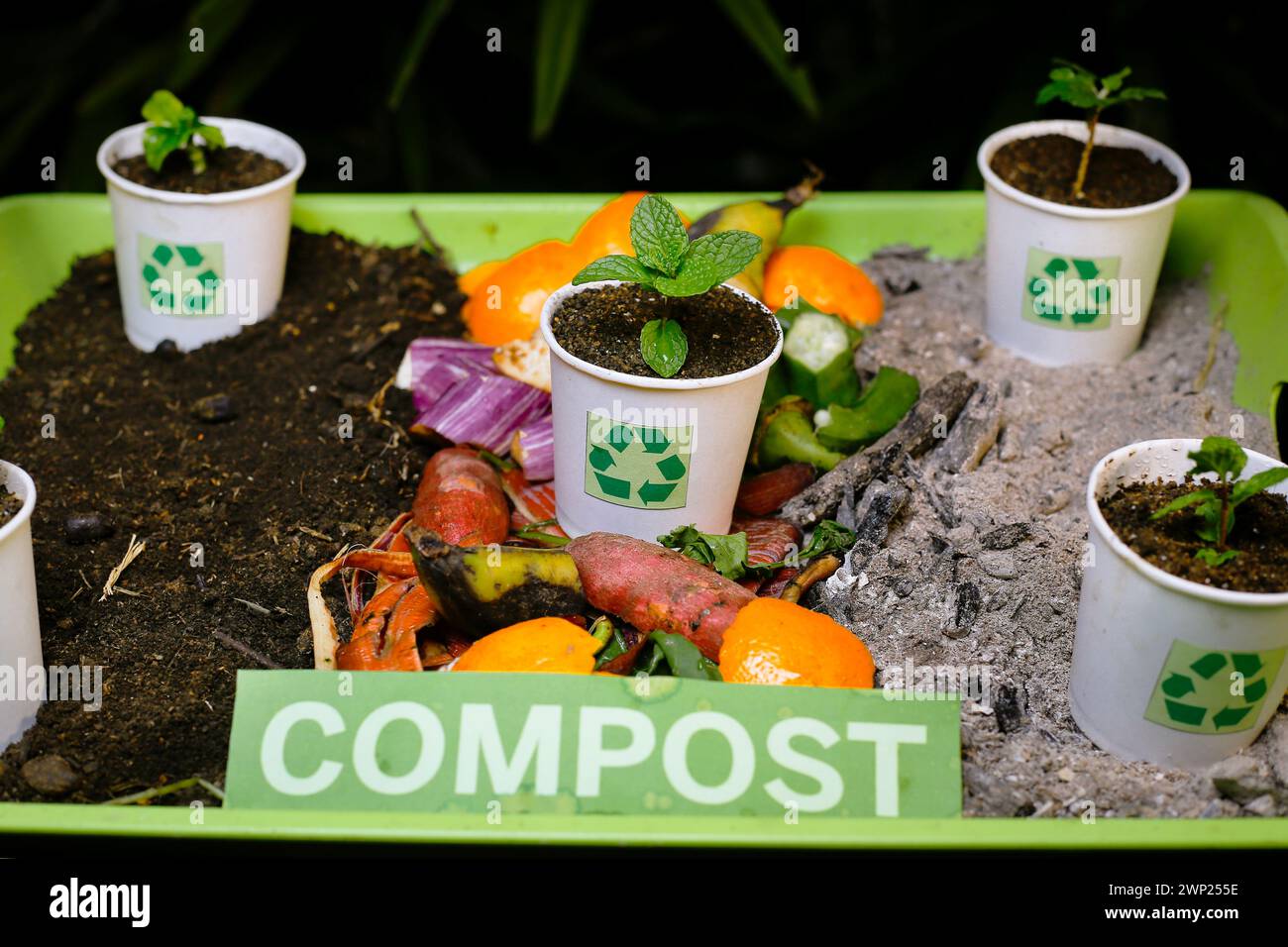 Banana peel on soil hi-res stock photography and images - Alamy