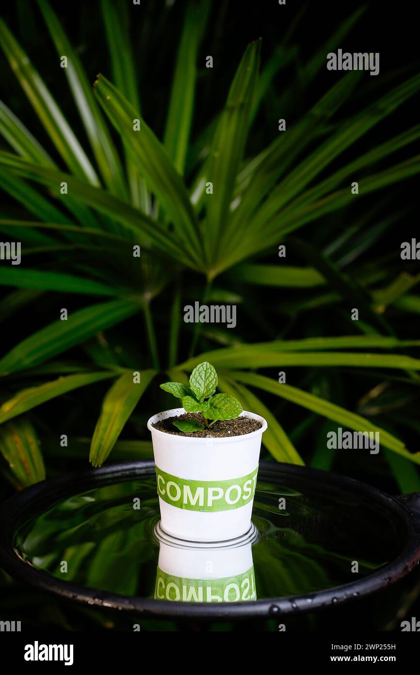 recycle compost soil with small plant Stock Photo - Alamy