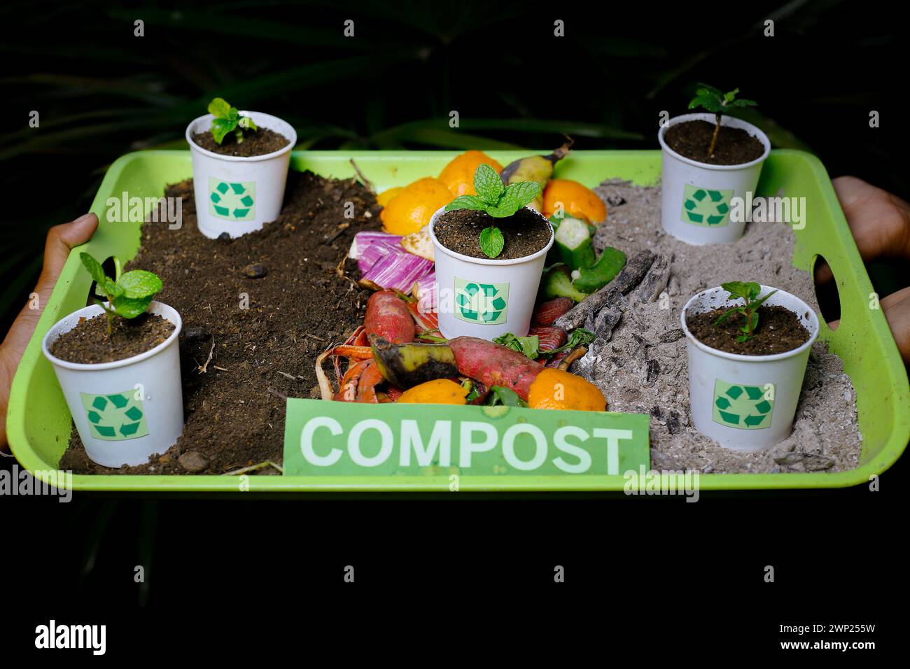 composted soil recycle on waste paper cups and waste vegetables Stock ...