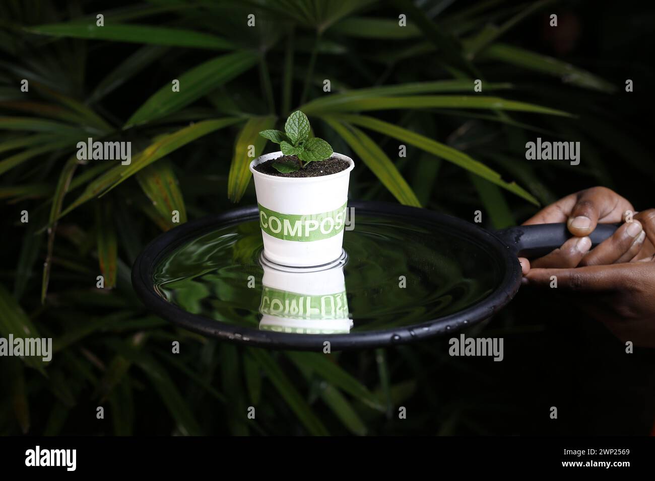 recycle compost soil with small plant hanging women Closup Stock Photo ...