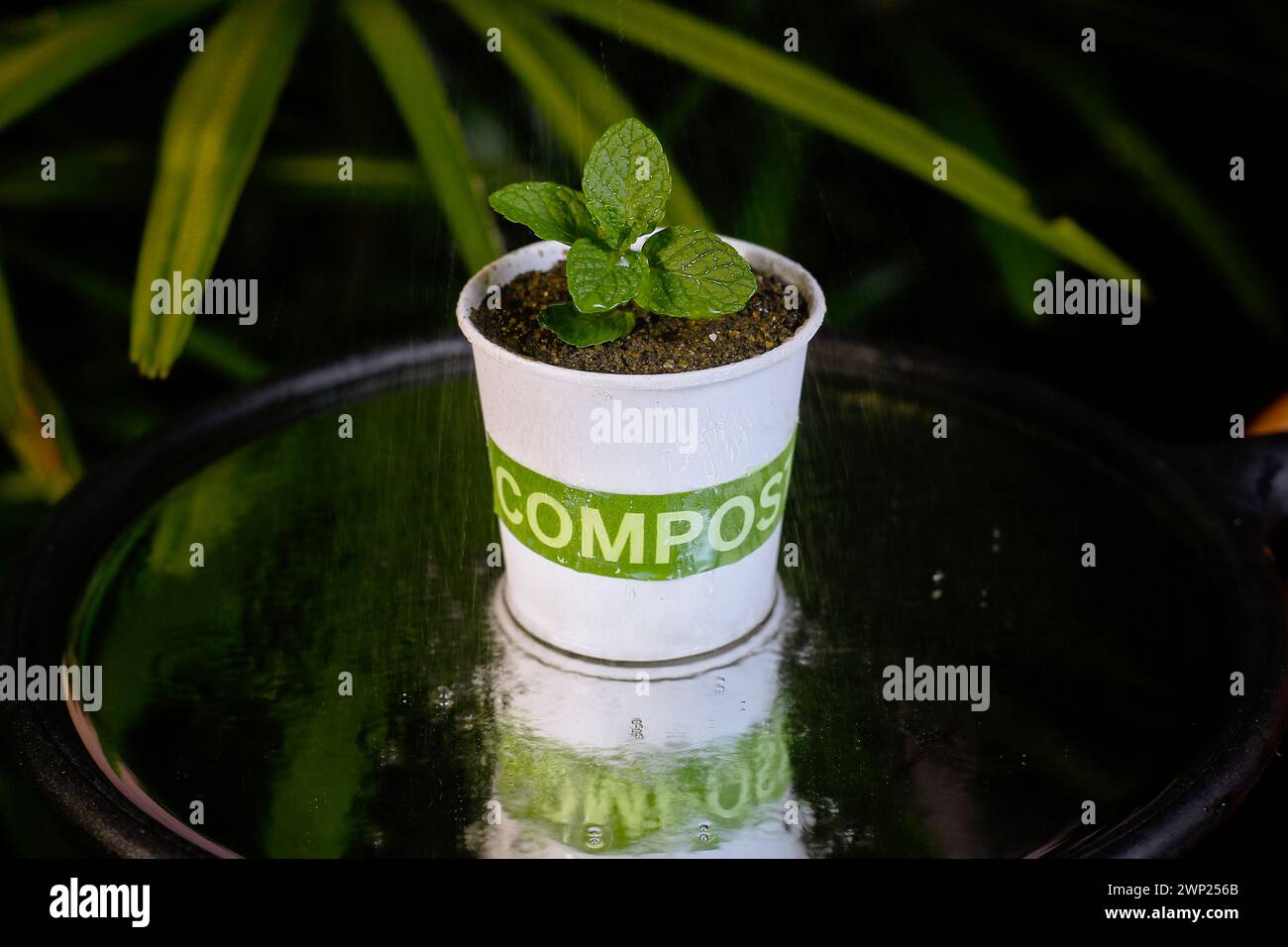 recycle compost soil with small plant Stock Photo - Alamy