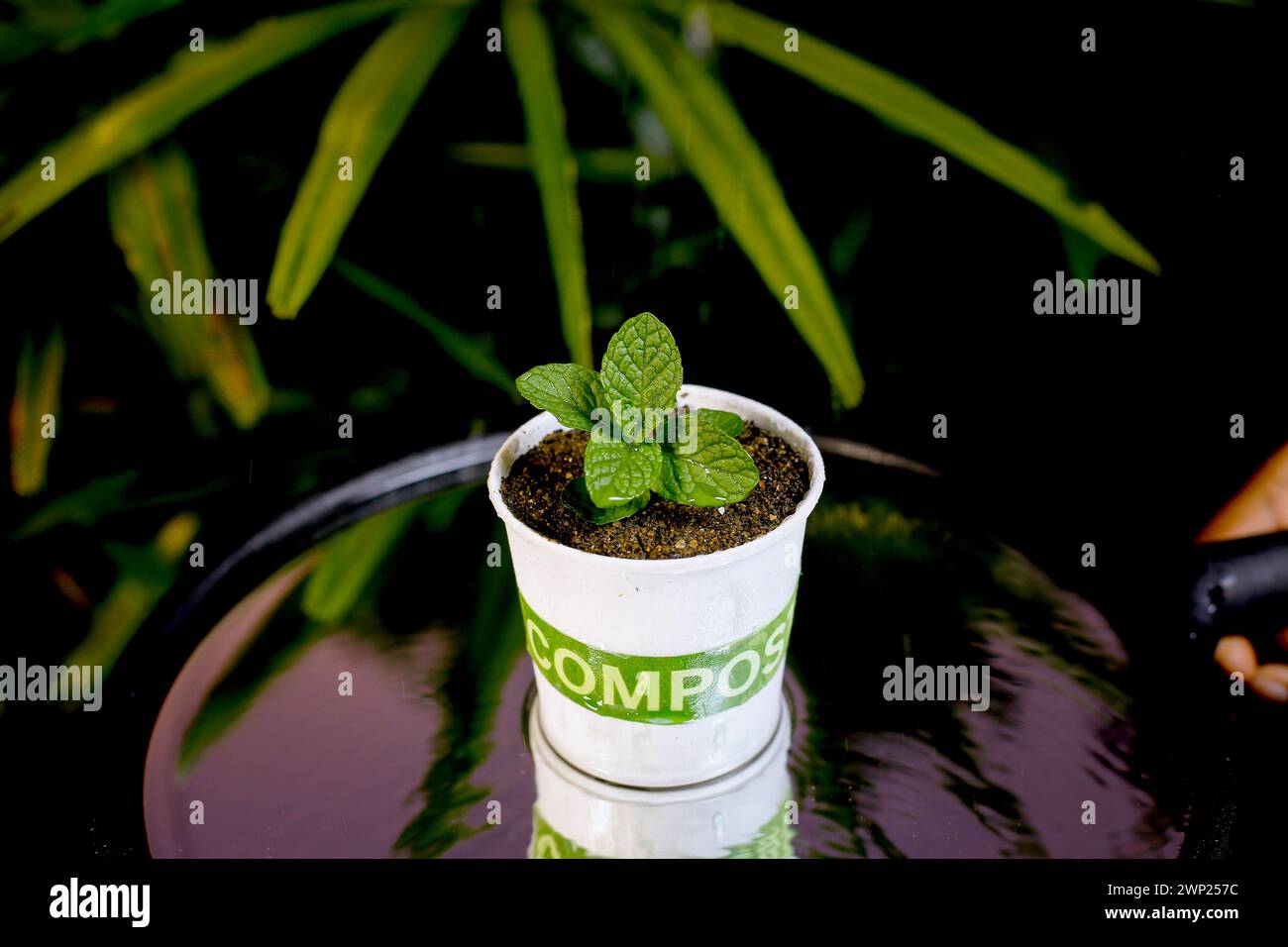 Garden recycle table hi-res stock photography and images - Alamy