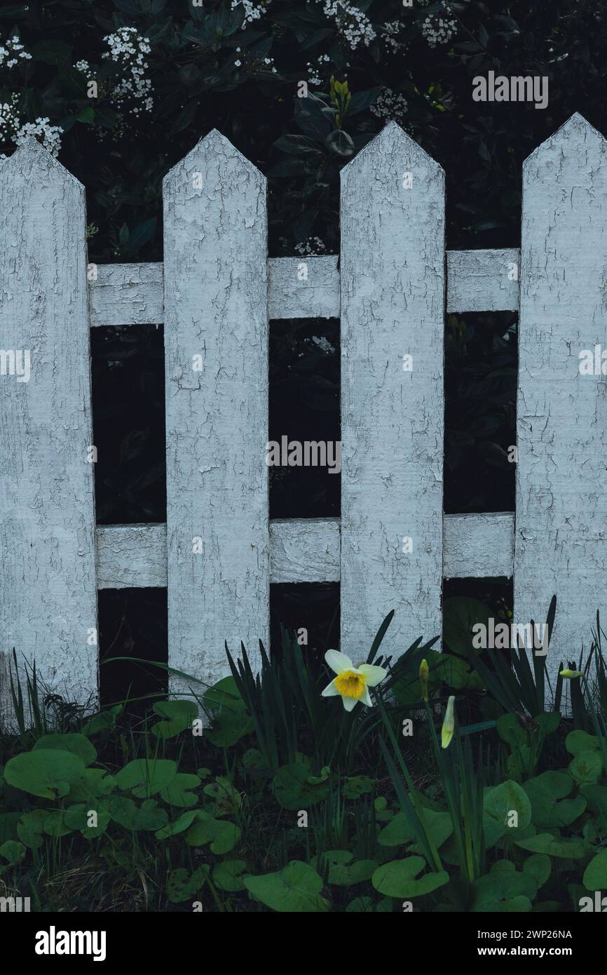 White timber fence hi-res stock photography and images - Alamy