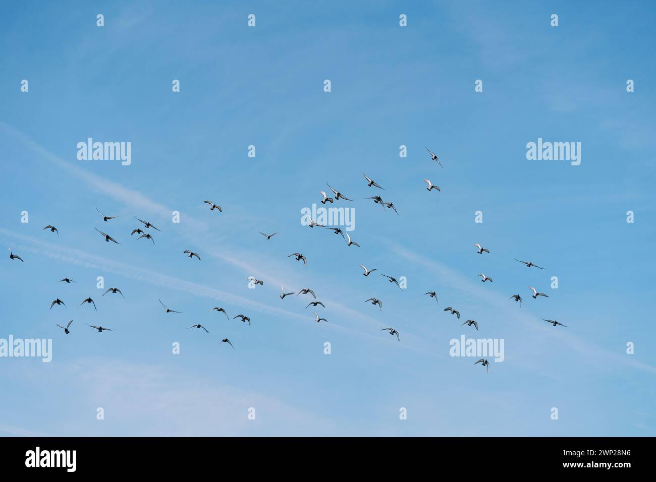 Skyline circling hi-res stock photography and images - Alamy