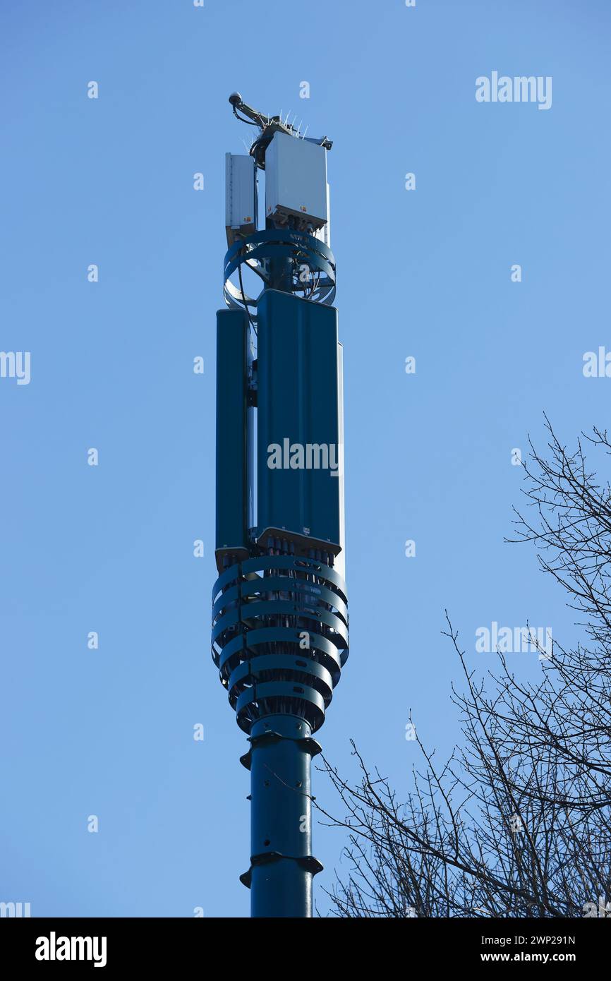 Mobile phone telecommunications tower with tree branches in foreground ...