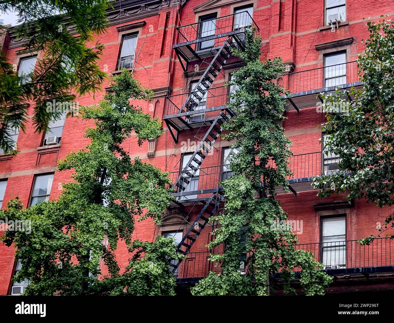 Walking and enjoying the typical neighborhoods like the Bronx of New ...