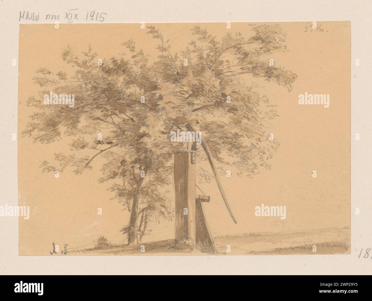 Tree and irrigation crane; Schadow, Albert Dietrich (1797-1869); 1822 ...