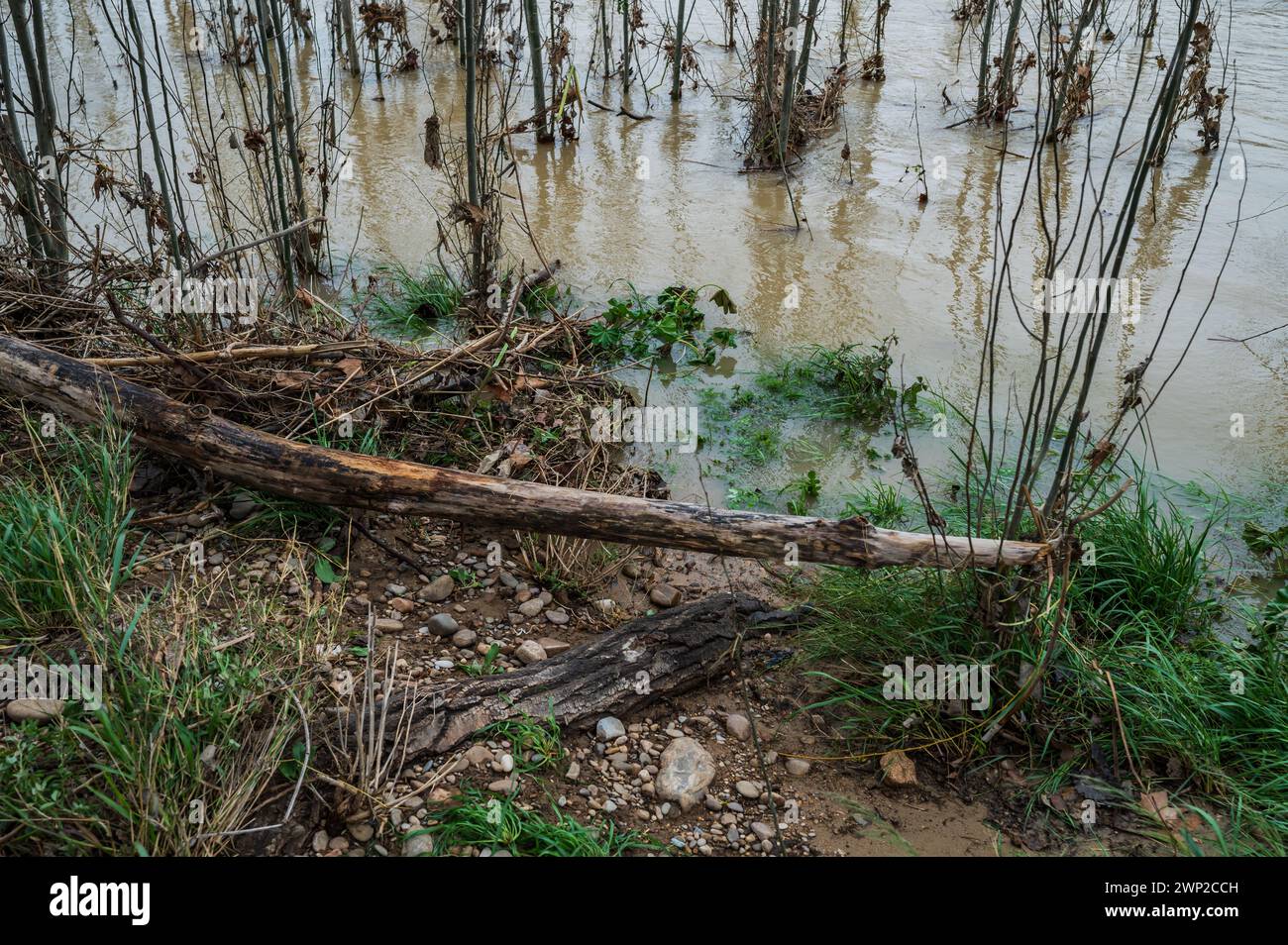 Flood calamity hi-res stock photography and images - Alamy