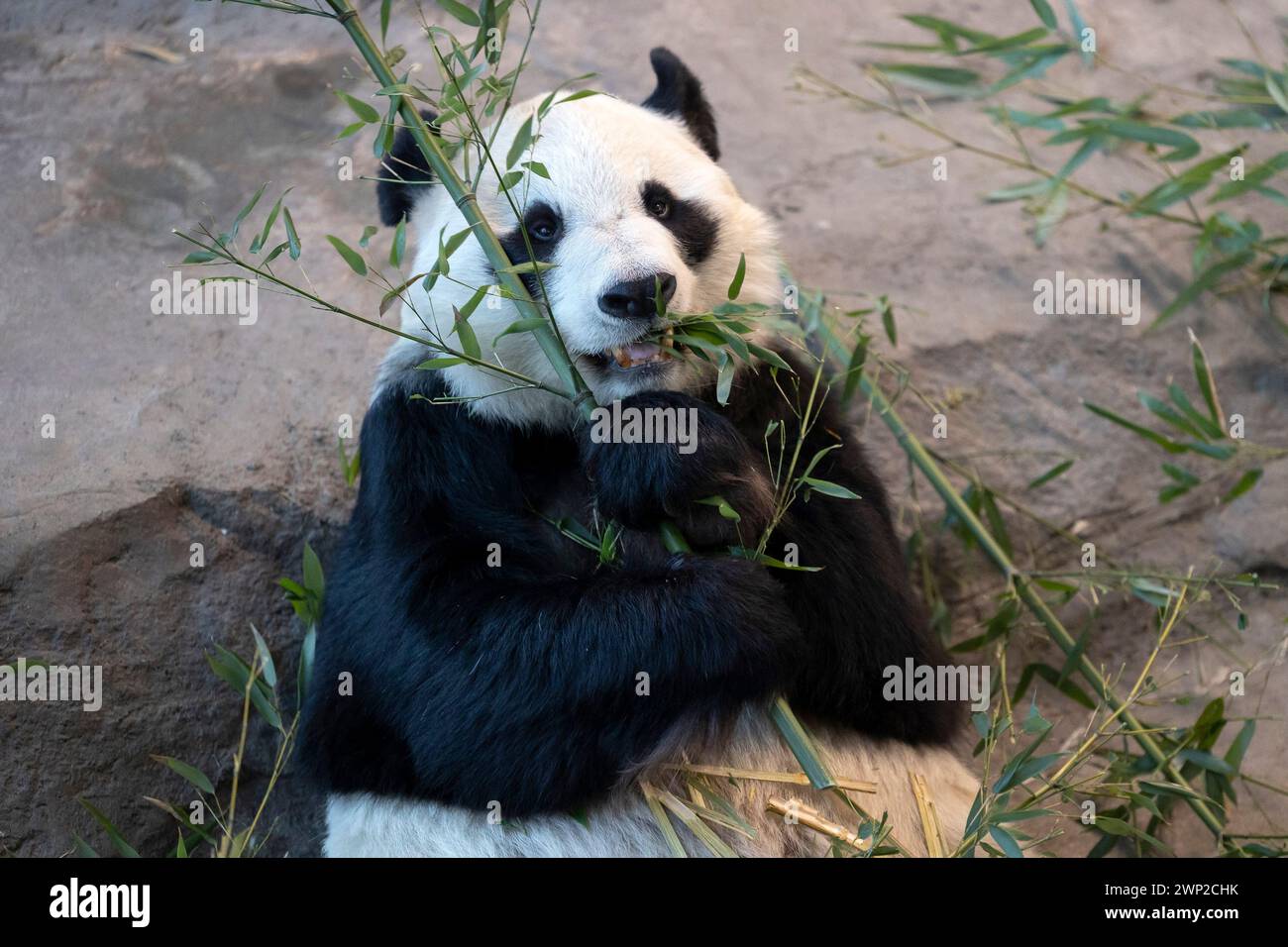 (240305) -- AHTARI, March 5, 2024 (Xinhua) -- This photo taken on Jan ...