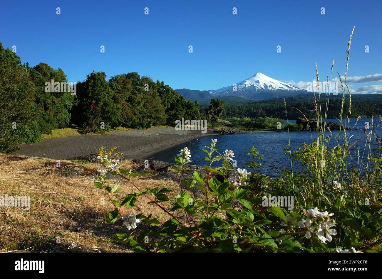 Nature of Chile beautiful landscape, Snow capped Villarrica volcano and ...