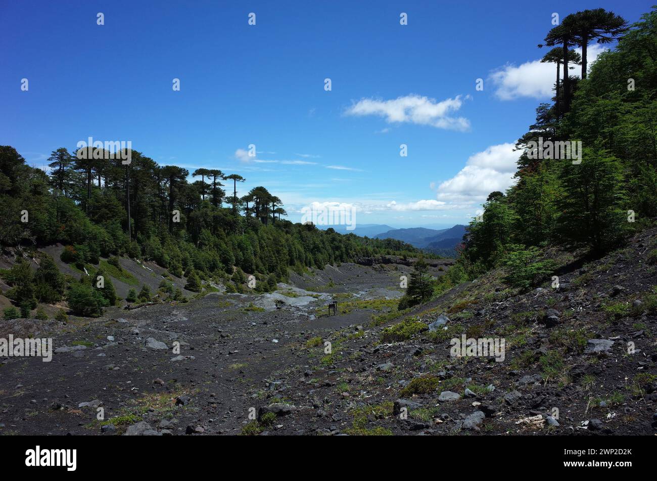 South America nature landscape, Dark canyon after post-eruptive lahar ...