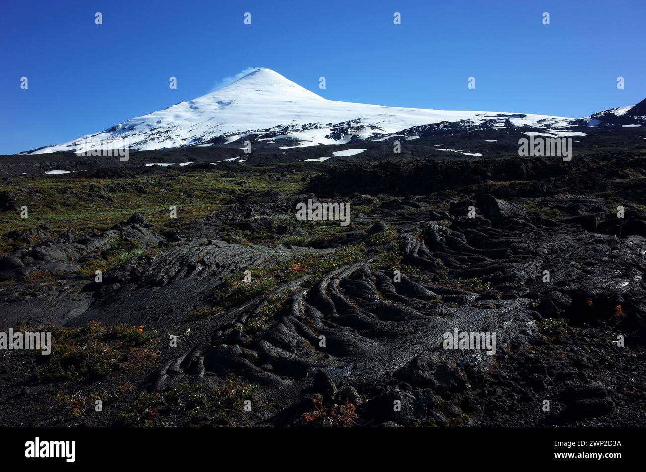Snow covered Villarrica volcano and frozen black lava, clear blue sky ...