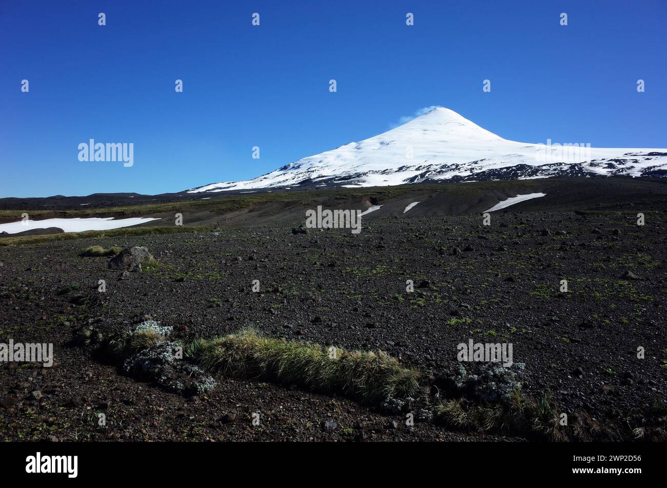 Volcanic landscape, Rare vegetation on dark pyroclastic material on ...