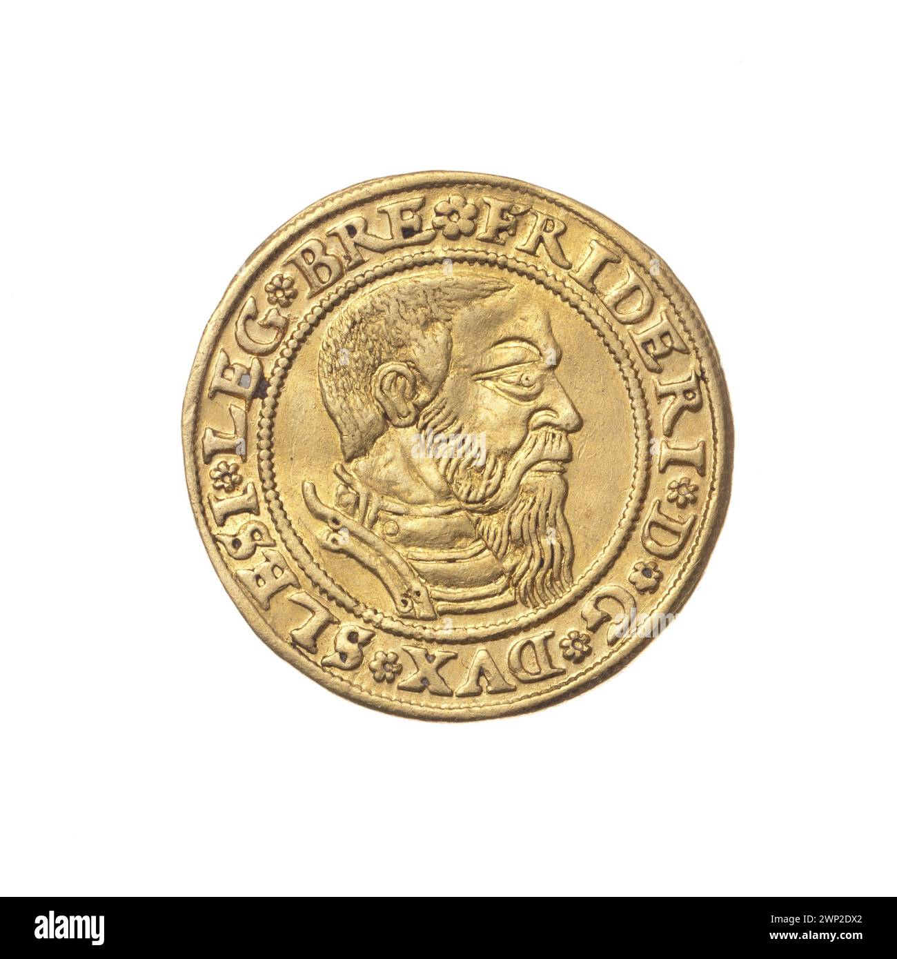 Brest legnica hi-res stock photography and images - Alamy