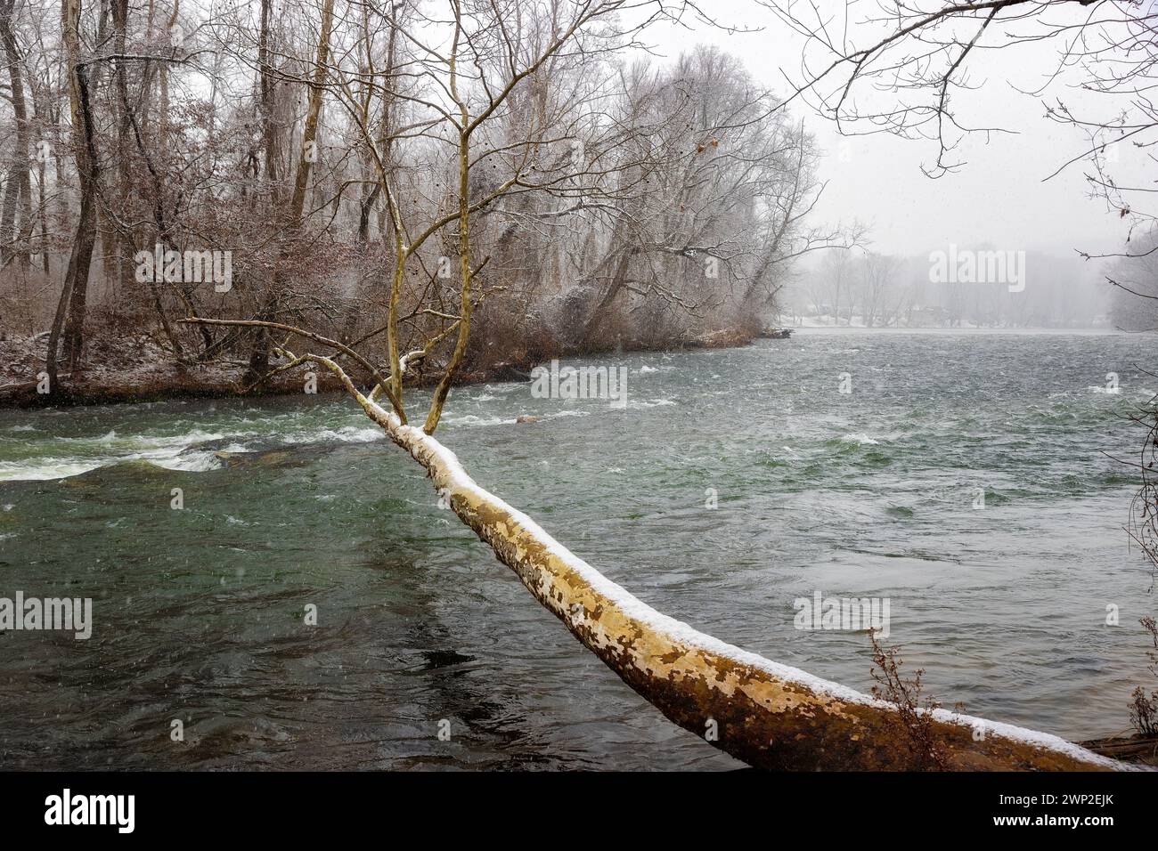 Winter landscape views along the Watauga River at Sycamore Shoals State ...