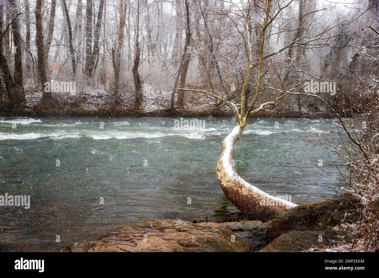 Winter landscape views along the Watauga River at Sycamore Shoals State ...