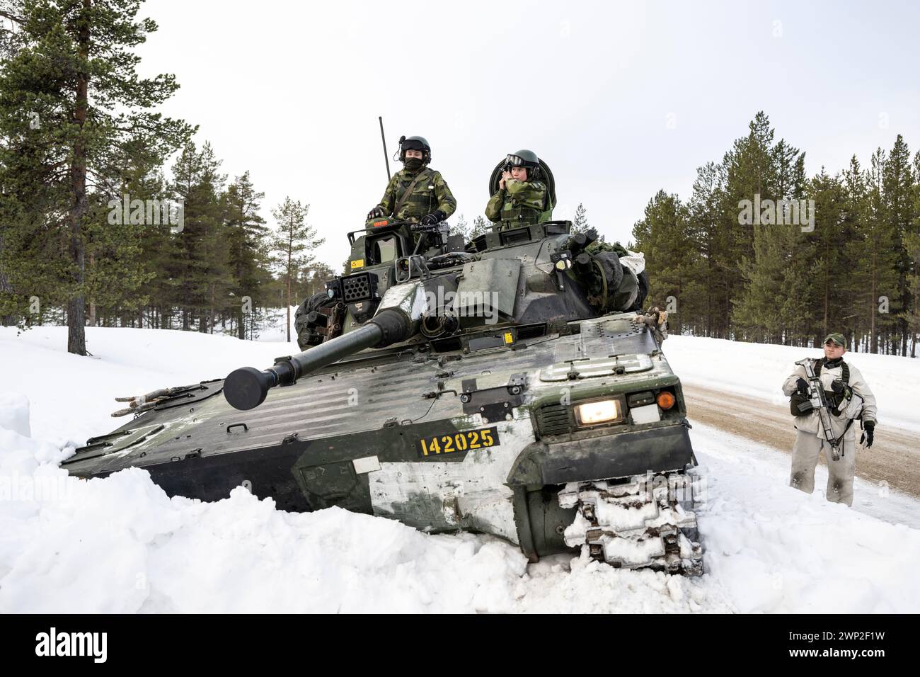 Hetta, Finland. 05th Mar, 2024. HETTA, FINLAND 20240305 Swedish ...