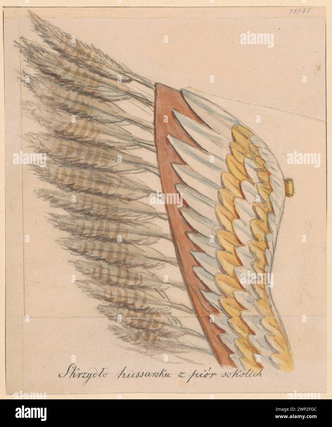 Skrzydla husarskie militaria hi-res stock photography and images - Alamy