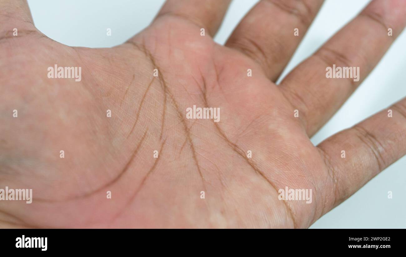 Hand with pose showing palm isolated on white background Stock Photo ...