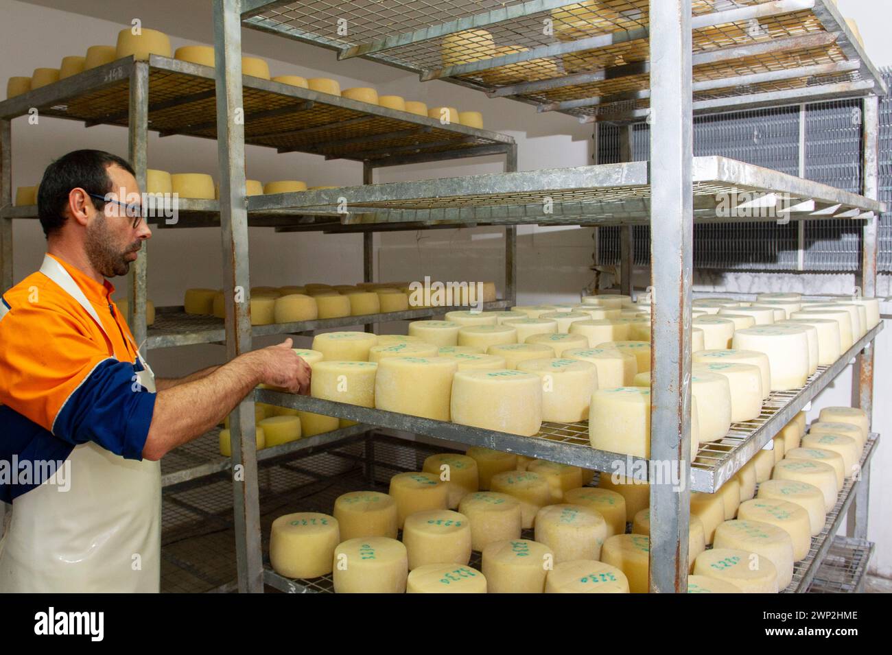 Giuliano and gavino pulinas hi-res stock photography and images - Alamy