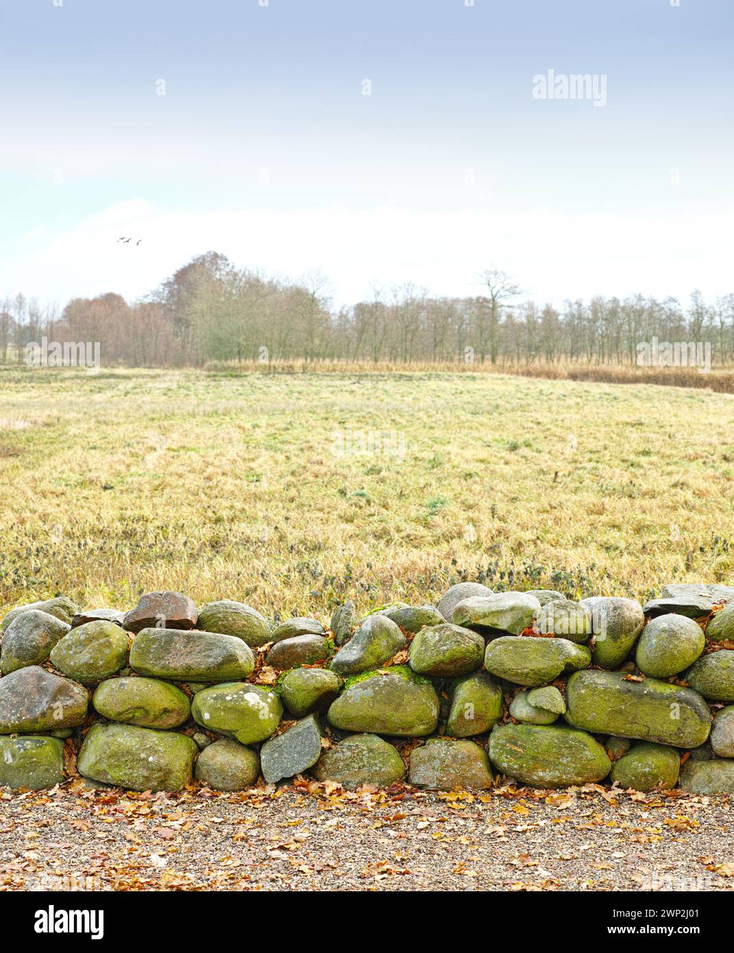 Landscape, field and wall with stone for agriculture in nature with sky ...