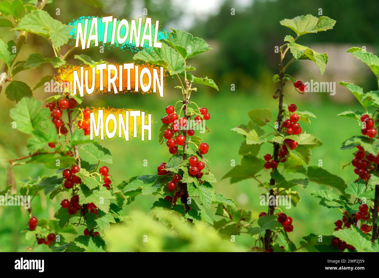 Colorful text announcing National Nutrition Month contrasts beautifully ...