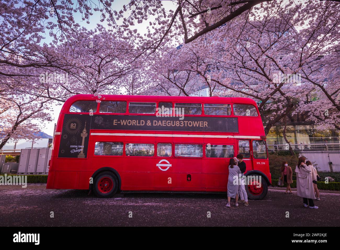 Tourists taking photos of spring cherry blossoms at E-World 83 Tower, a ...