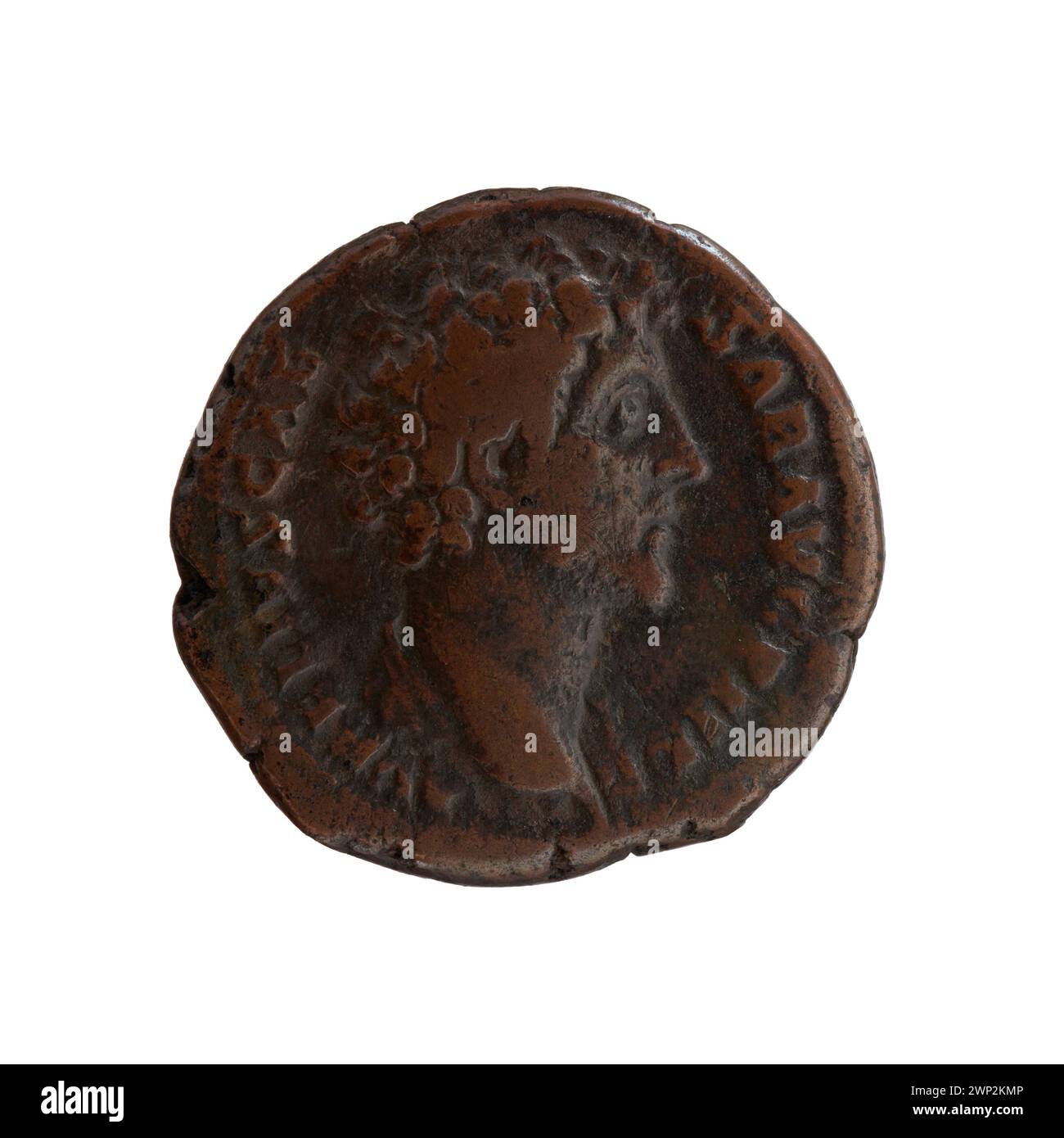 145 86 Cut Out Stock Images & Pictures - Alamy