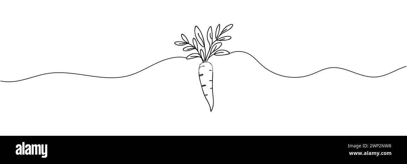 Carrot vegetable in continuous line drawing style isolated on white ...