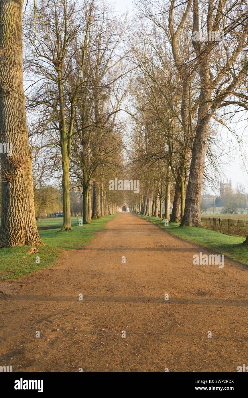 UK, Oxford, walkway in the grounds of Christ Church college Stock Photo ...