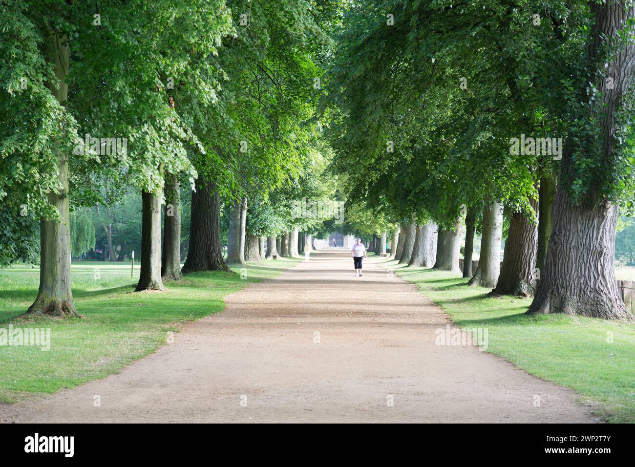 College walkway hi-res stock photography and images - Alamy