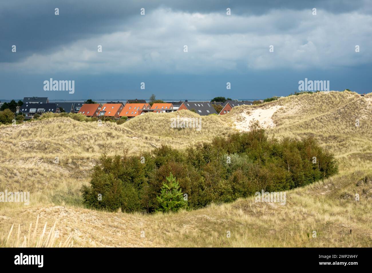 Dune area and Wittdun on Amrum island, North Frisia, Schleswig-Holstein ...