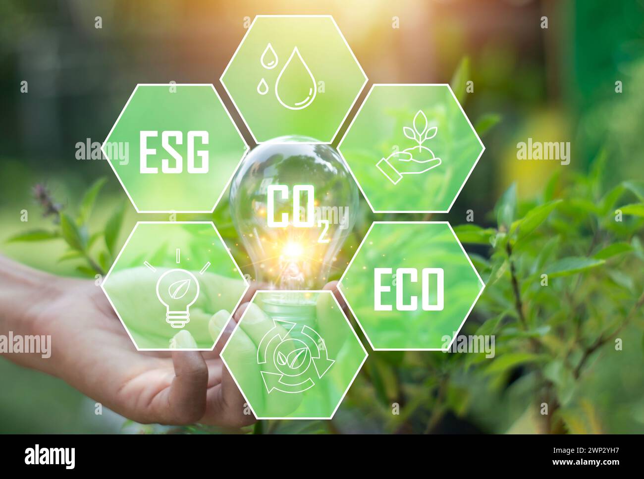 Sustainable development and business operations based on renewable ...