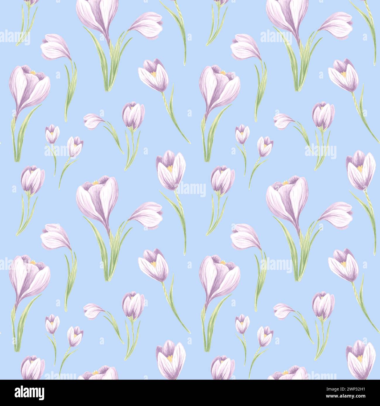 Seamless pattern from violet crocuses with green leaves on blue ...