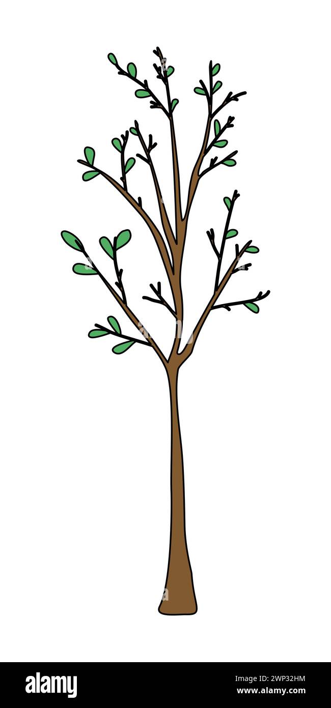 Young tree with leaves or tree seedling, flat style vector illustration ...