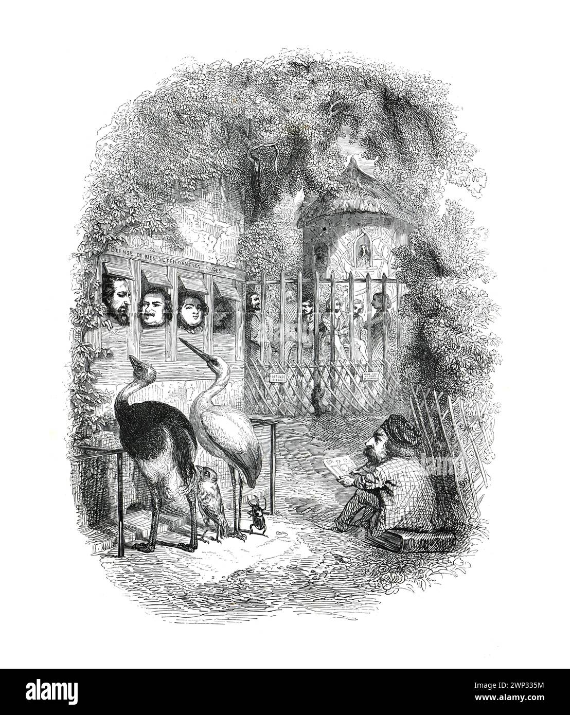 Anthropomorphic humanized animals. humanized birds.bird watching humans ...