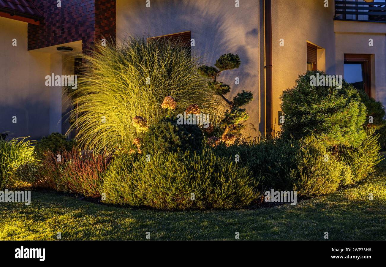 Night Time Illuminated Residential Backyard Garden. Outdoor LED ...