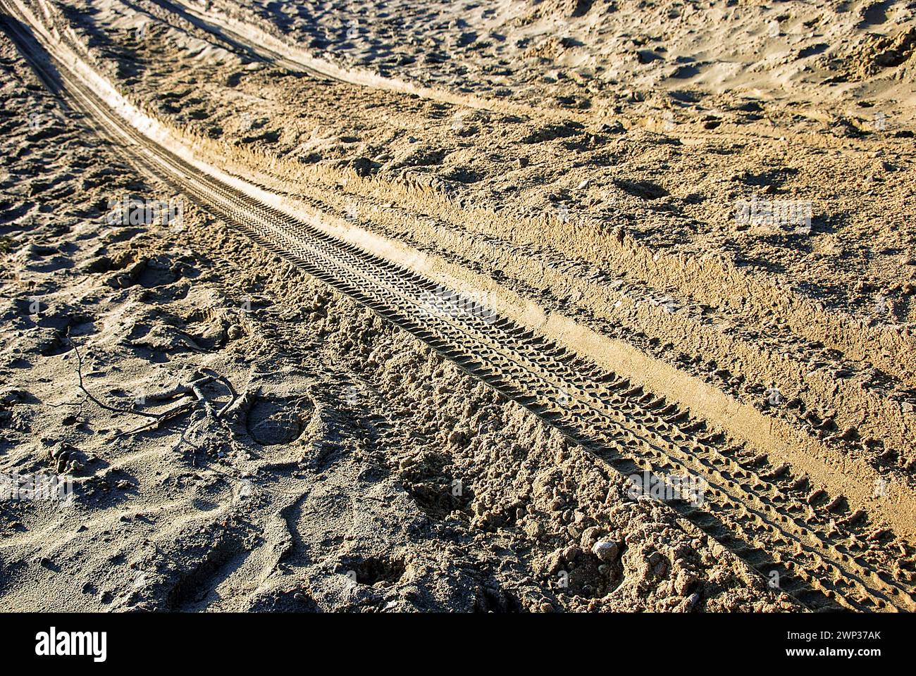 Tracks in the sand Stock Photo - Alamy