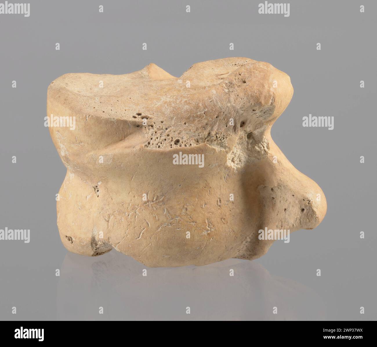 Astragal hi-res stock photography and images - Alamy