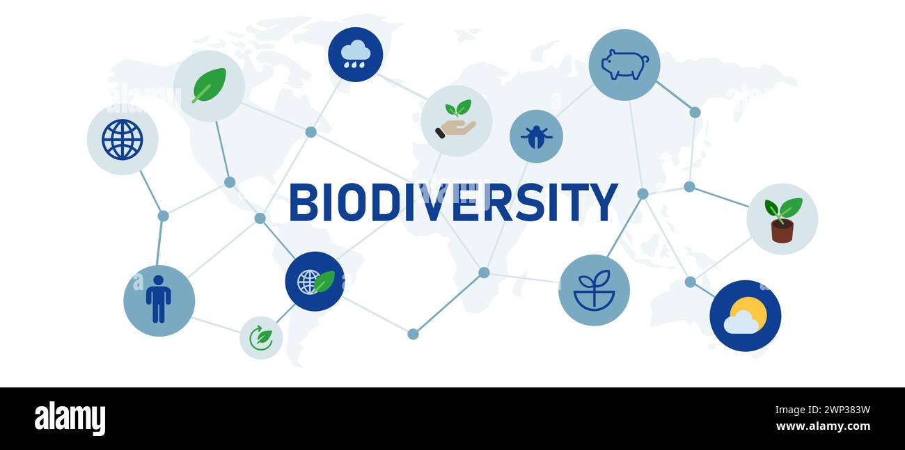 icon biodiversity different environment plant and animal nature ecology ...