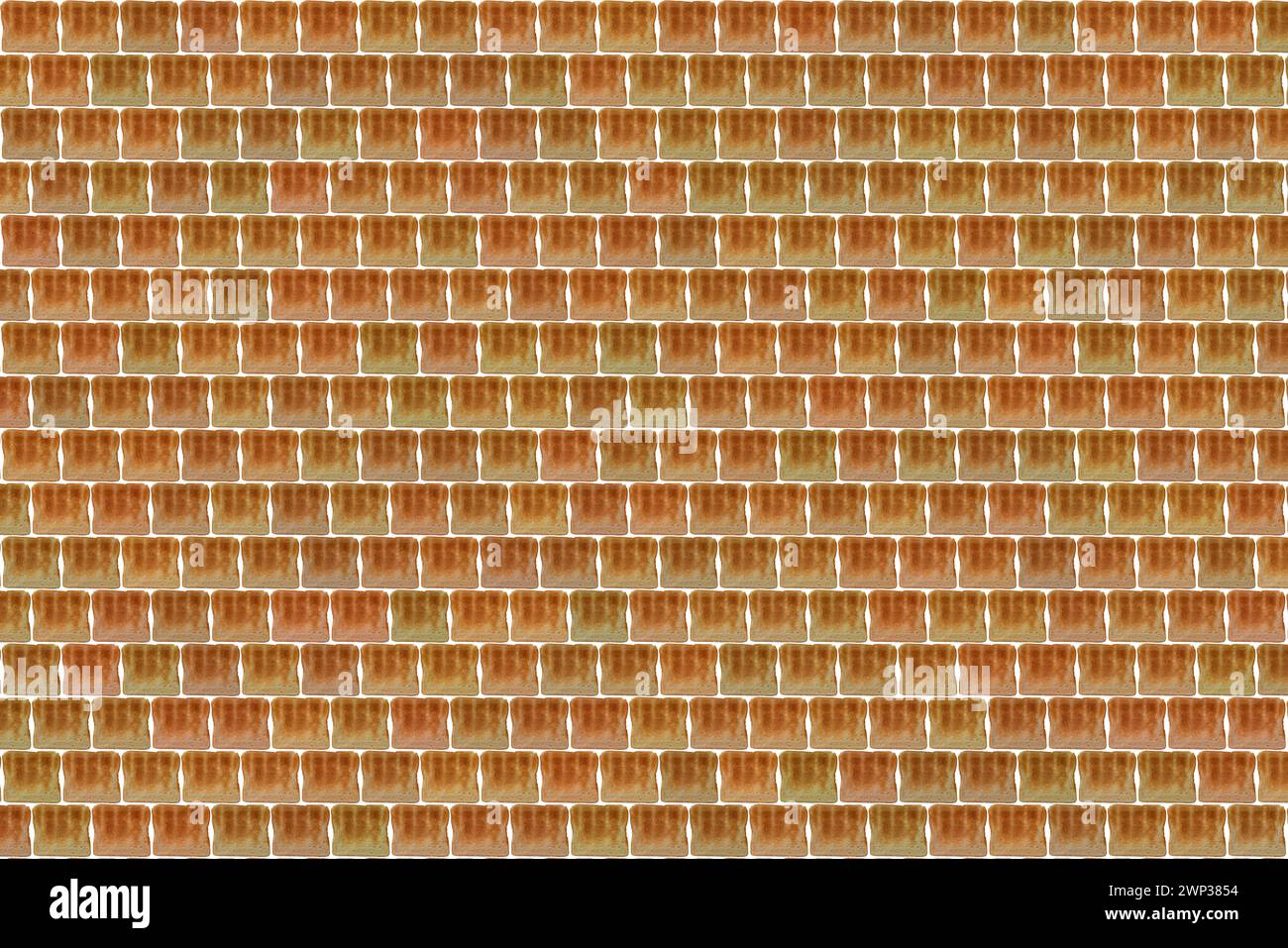 Slices of toasted toast arranged in regular rows on white background ...
