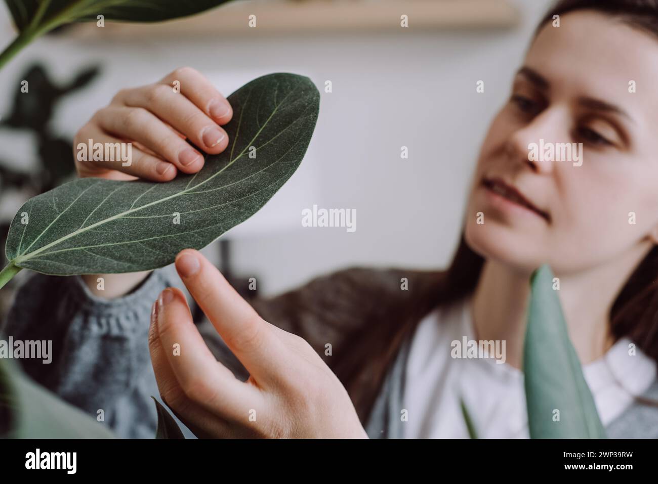 Selective focus of cute caring young caucasian woman gardener carefully inspected and caring for ...