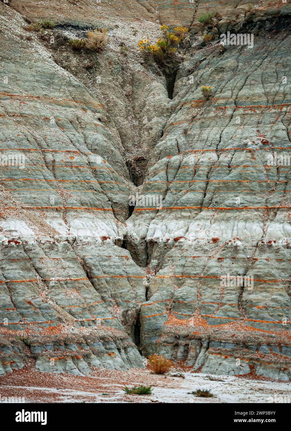 Erosion, both water and wind, create lines and patterns in the soil ...