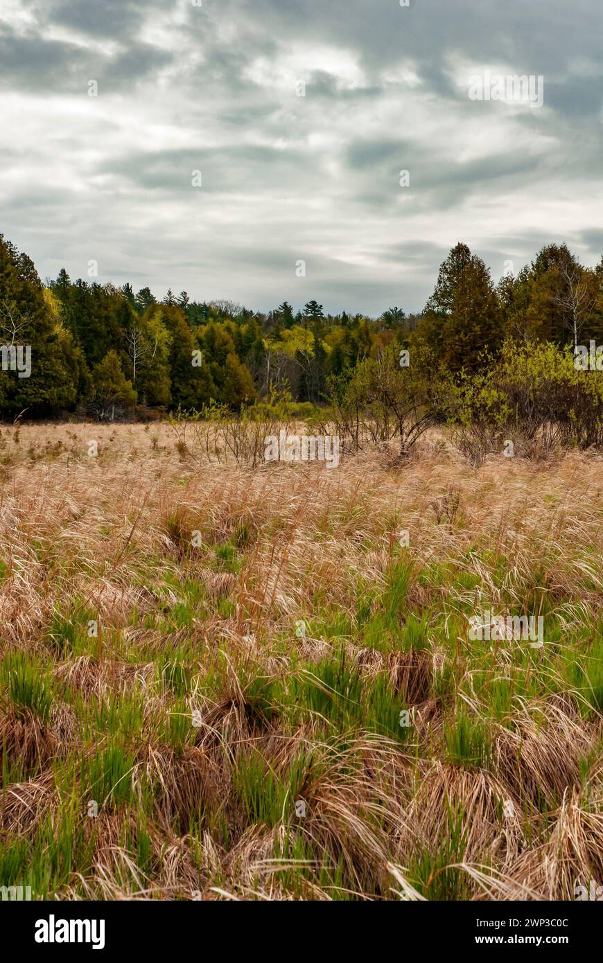 Storm clouds cover Weborg Marsh in Peninsula State Park, Door County ...
