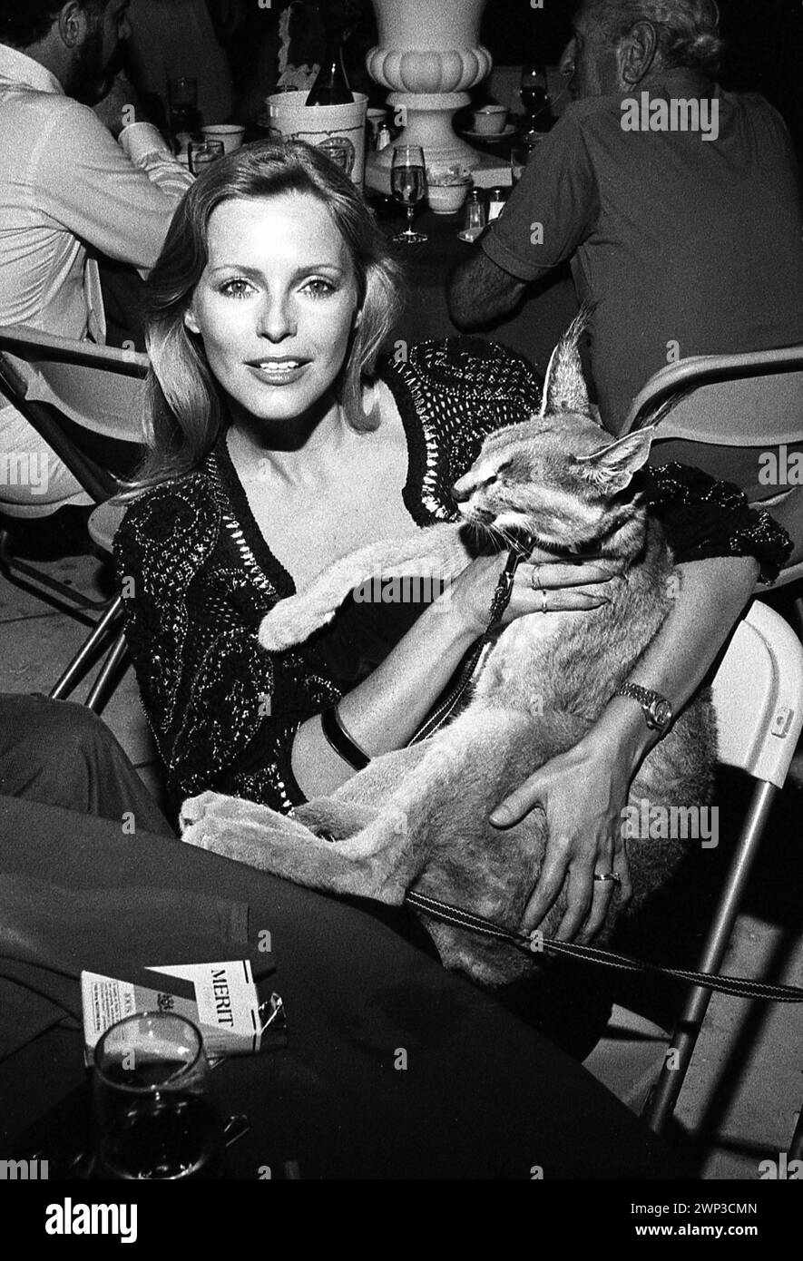 Cheryl ladd mediapunch Black and White Stock Photos & Images - Alamy