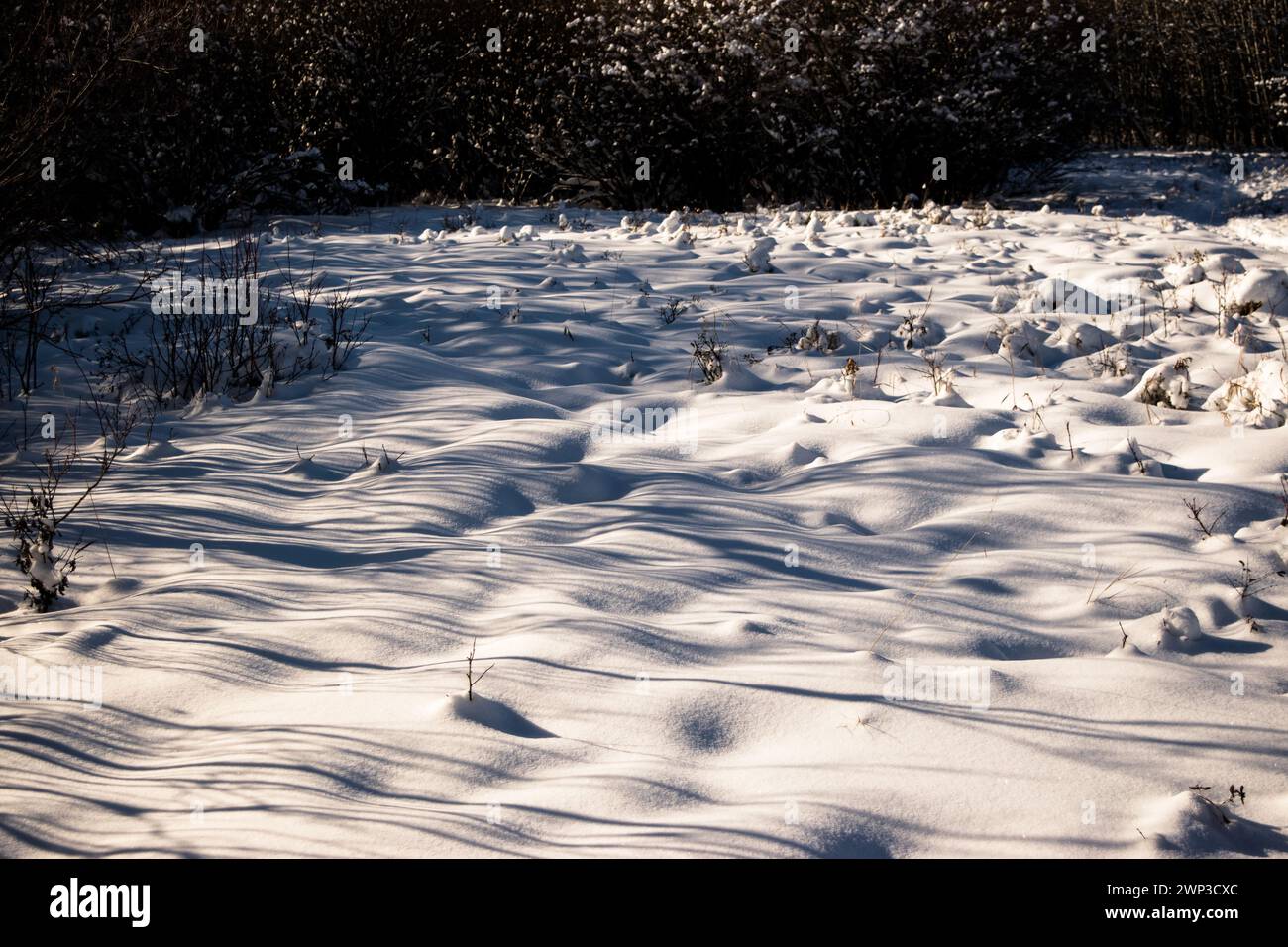 Winter scenery after fresh snowfall Stock Photo - Alamy