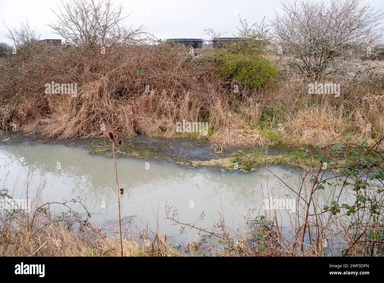 Slough, Berkshrire, UK. 4th March, 2024. Thames Water are discharging ...