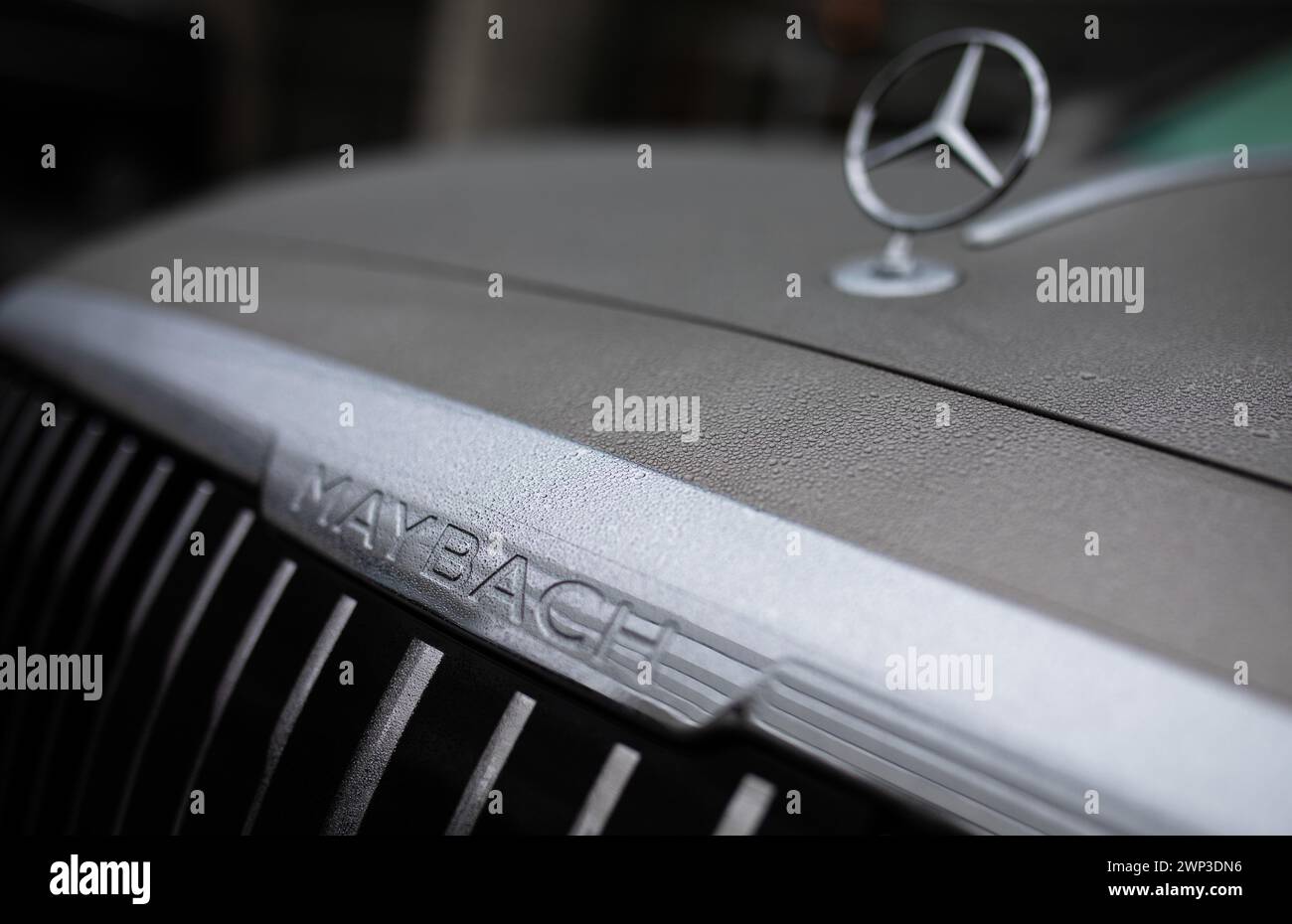 Sindelfingen, Germany. 04th Mar, 2024. The Maybach logo can be seen on ...