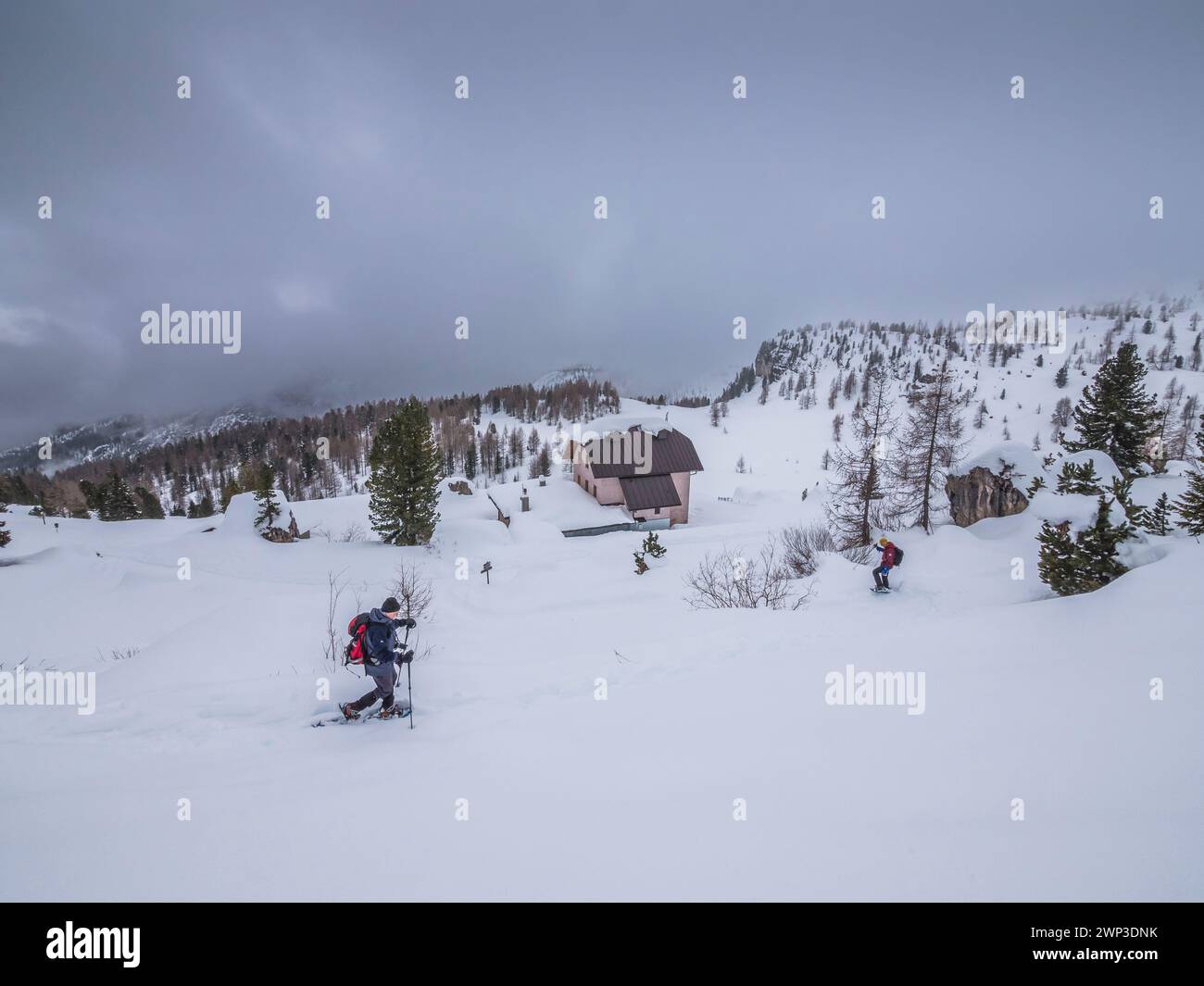 This winter image is of Cinque Torri towers, giant sized Dolomite ...