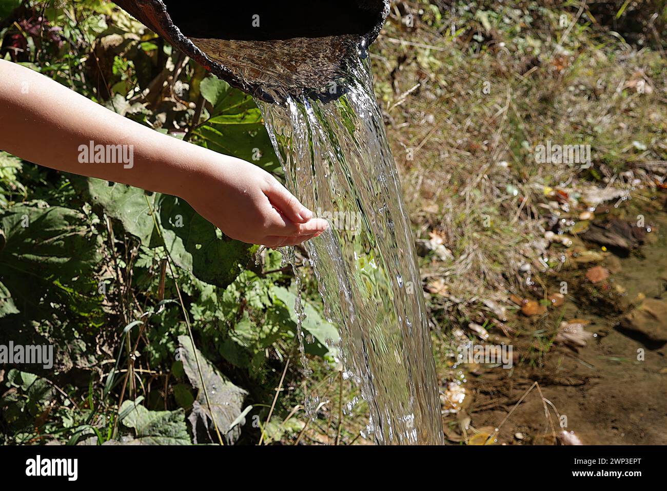 child's hand under running water. Pure running mountain water from a ...